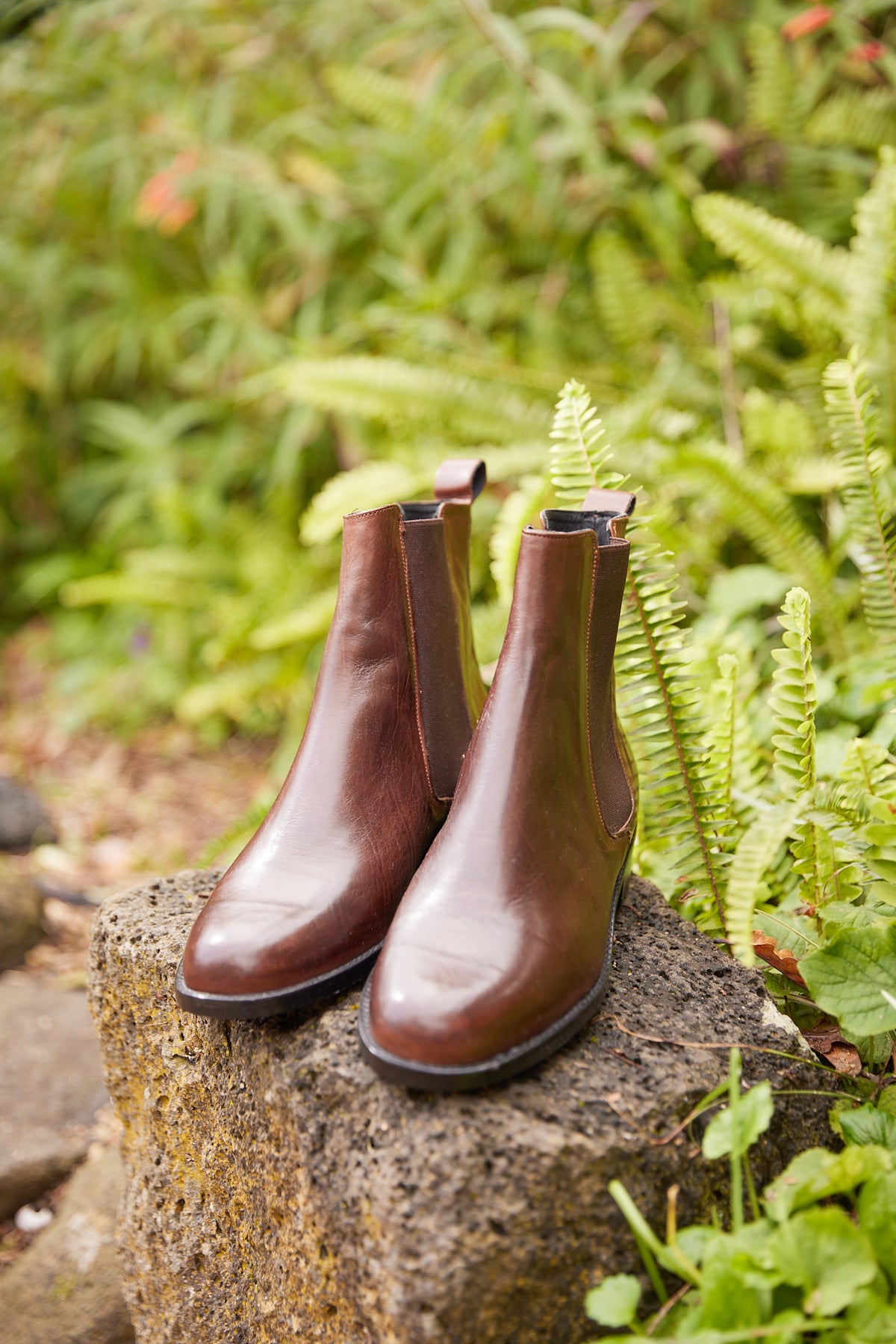 Balmoral twin gusset boot Chocolate