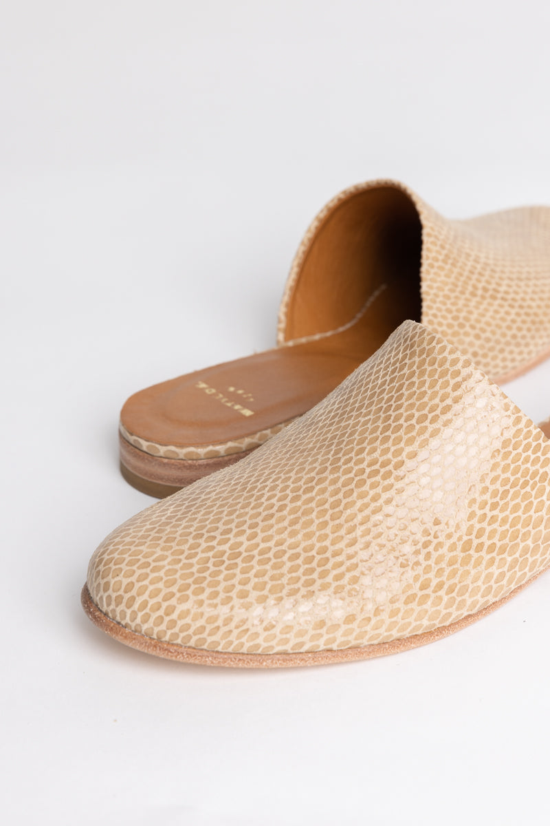 Mia Sand Snake Mule Slipper for Women's | Matilda Life